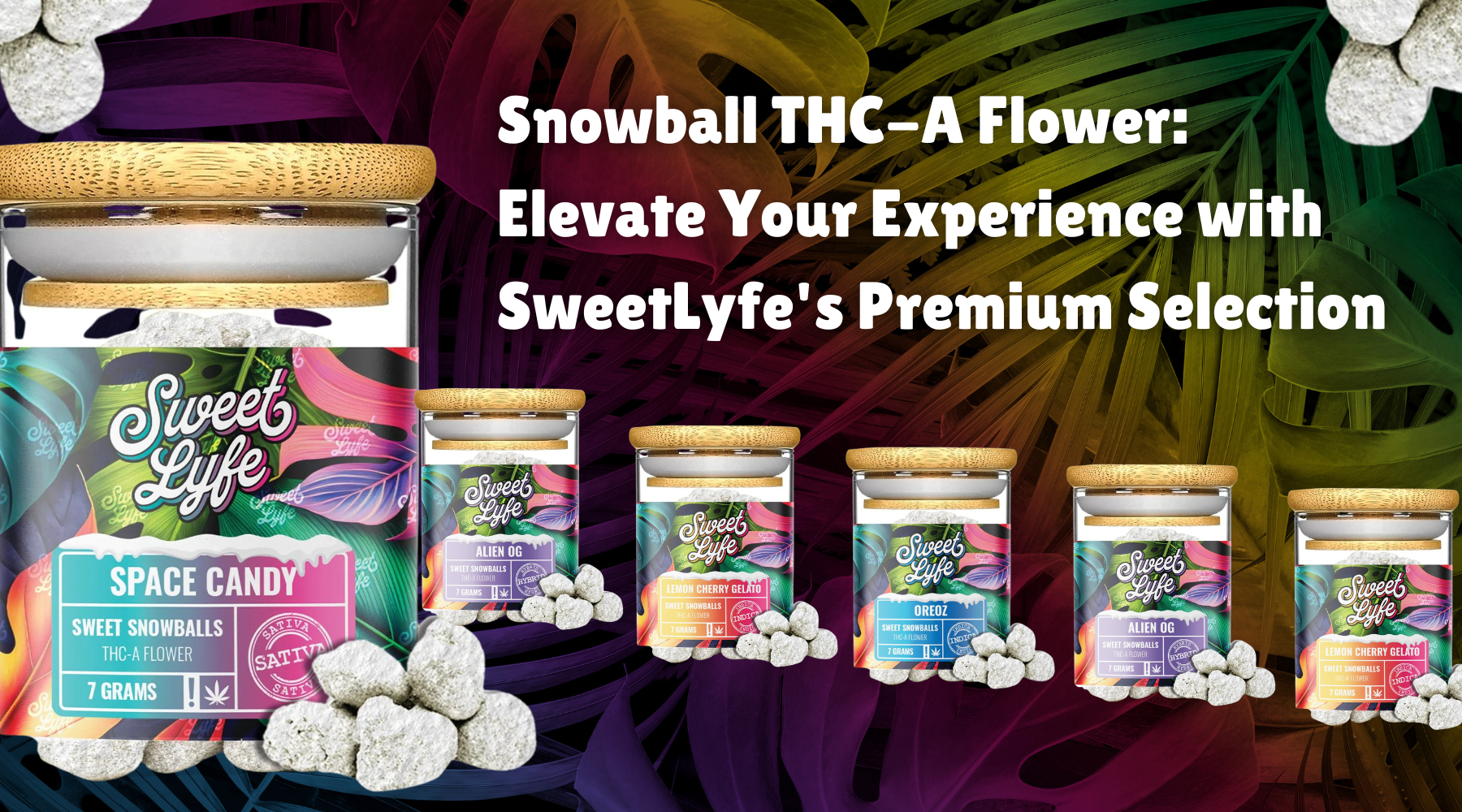Snowball THC-A Flower: Elevate Your Experience with SweetLyfe's Premiu ...